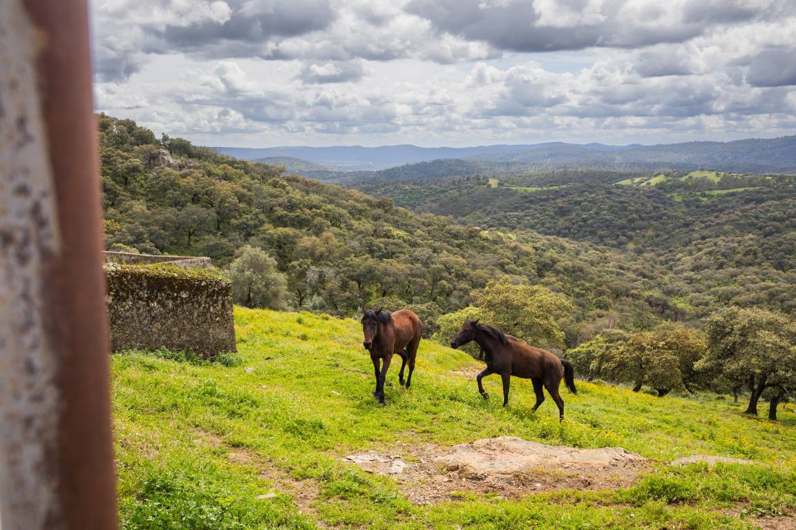 160 M² Casa ∙ 3 Habitaciones ∙ 6 Huéspedes - Higuera de la Sierra