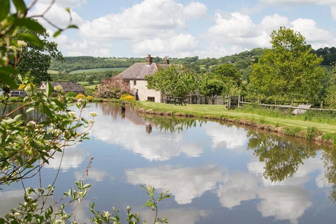 Cottage ∙ 3 Bedrooms ∙ 6 Guests - Honiton