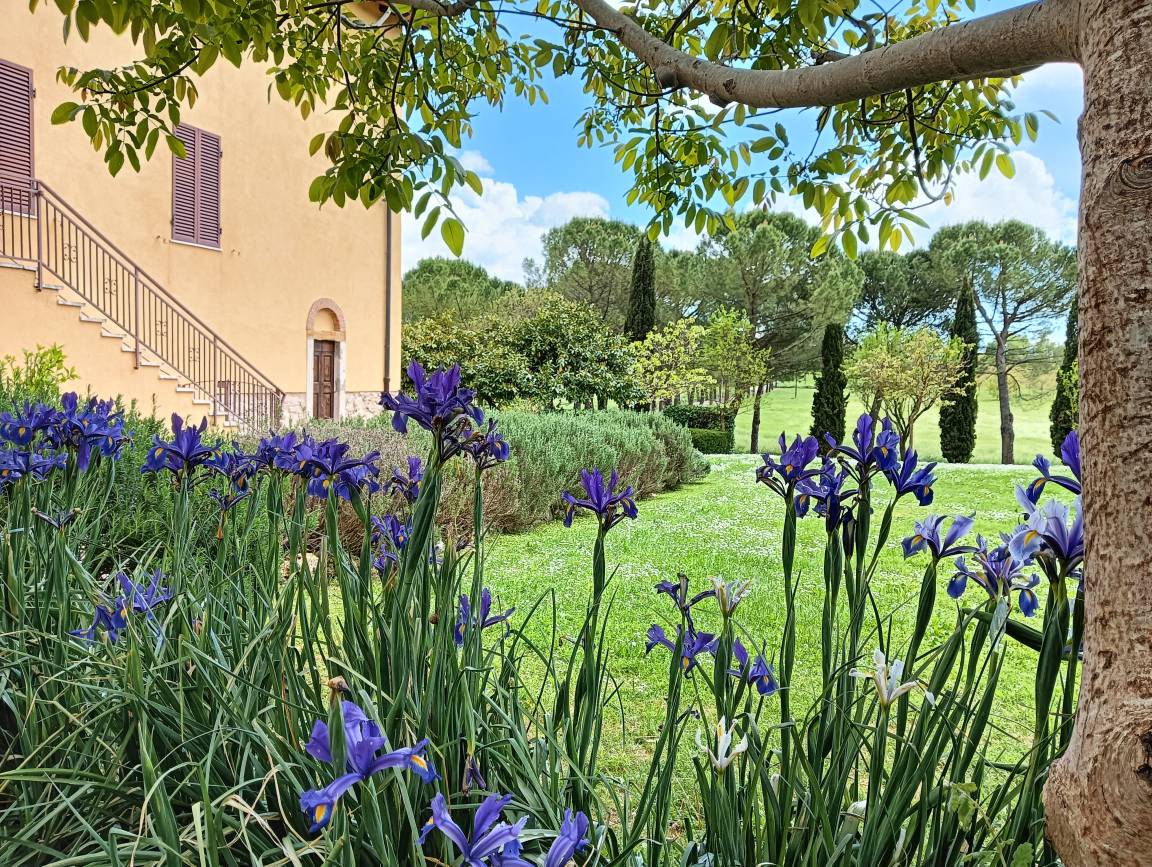 65 M² Farmhouse ∙ 2 Bedrooms ∙ 6 Guests - San Gimignano