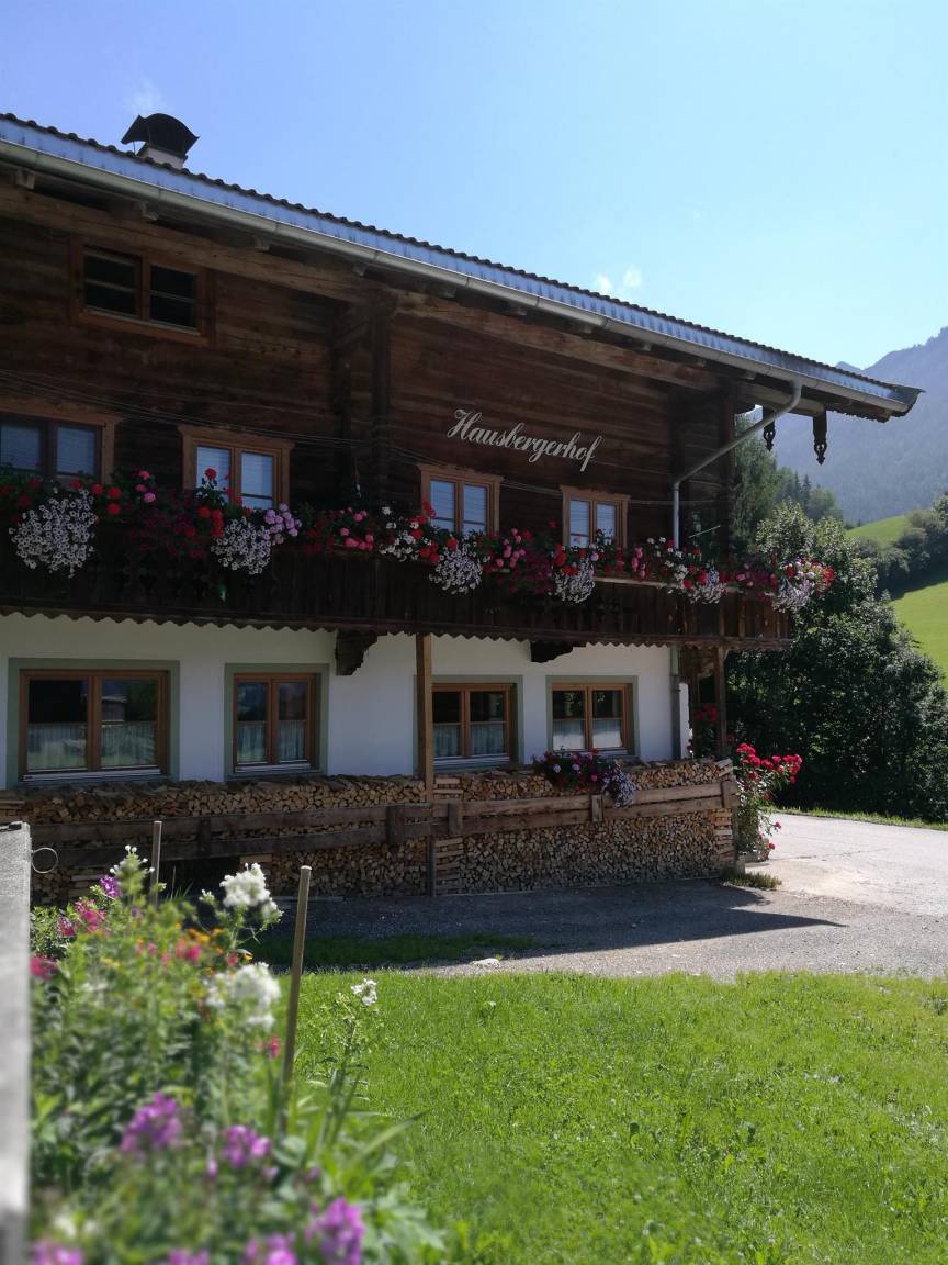 18 M² Hotel ∙ 1 Bedroom ∙ 2 Guests - Alpbach
