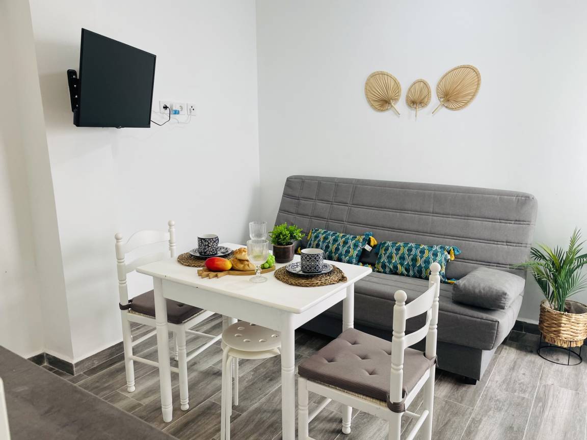 20 M² Appartement ∙ 1 Chambre ∙ 4 Personnes - Nerja