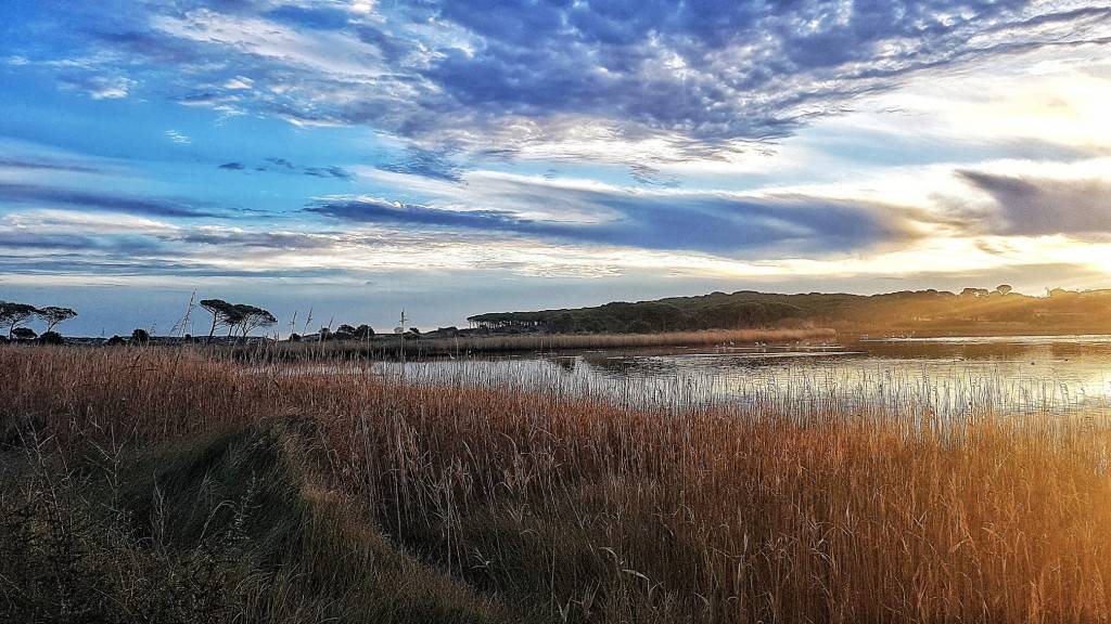 60 M² Appartement ∙ 2 Chambres ∙ 4 Personnes - Budoni