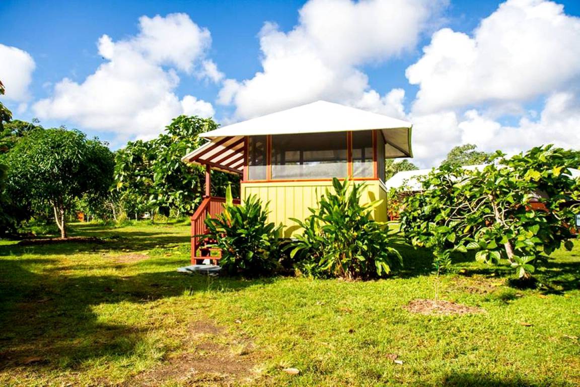 House ∙ 1 Bedroom ∙ 2 Guests - Pāhoa, HI