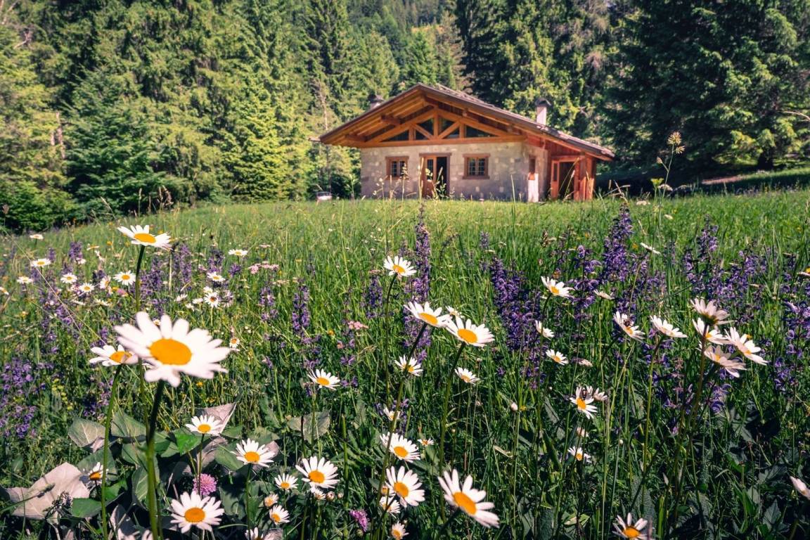 74 M² Casa ∙ 2 Camere Da Letto ∙ 4 Ospiti - Pinzolo