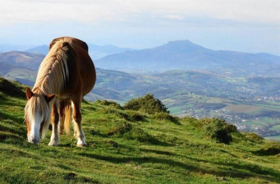 130 M² Maison De Vacances ∙ 3 Chambres ∙ 6 Personnes - Pays basque français