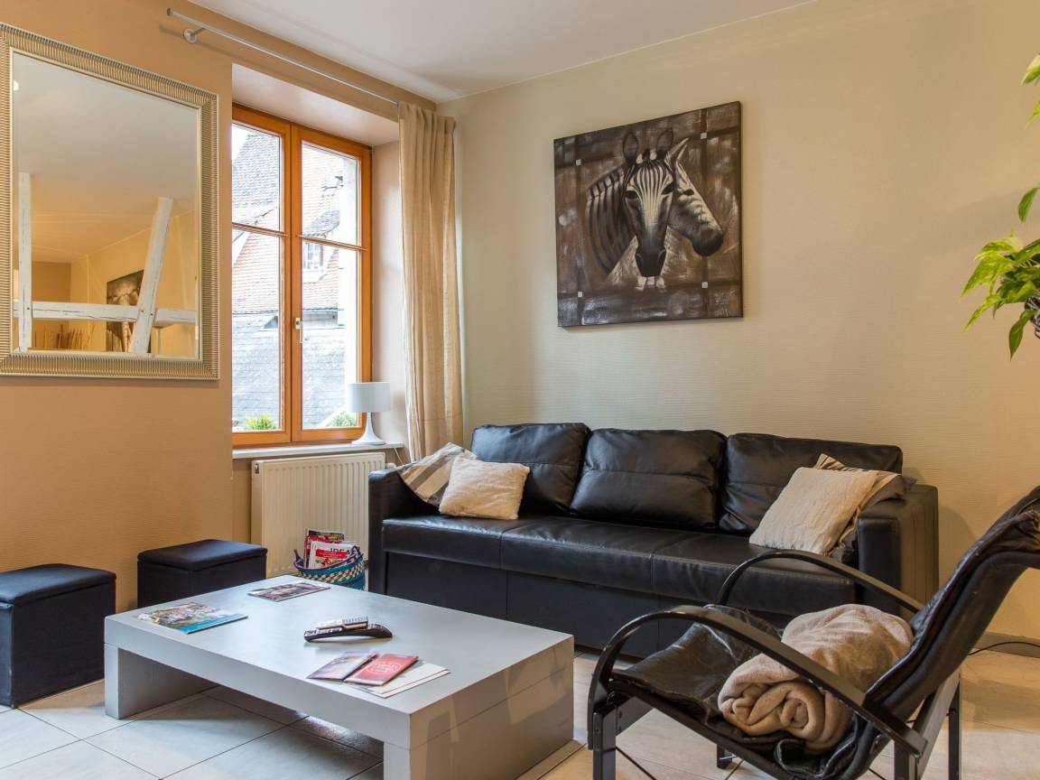 105 M² Appartamento Vacanza ∙ 3 Camere Da Letto ∙ 10 Ospiti - Colmar