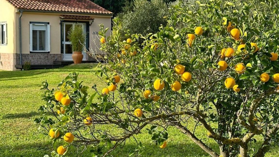 30 M² Casa ∙ 2 Huéspedes - Olvera