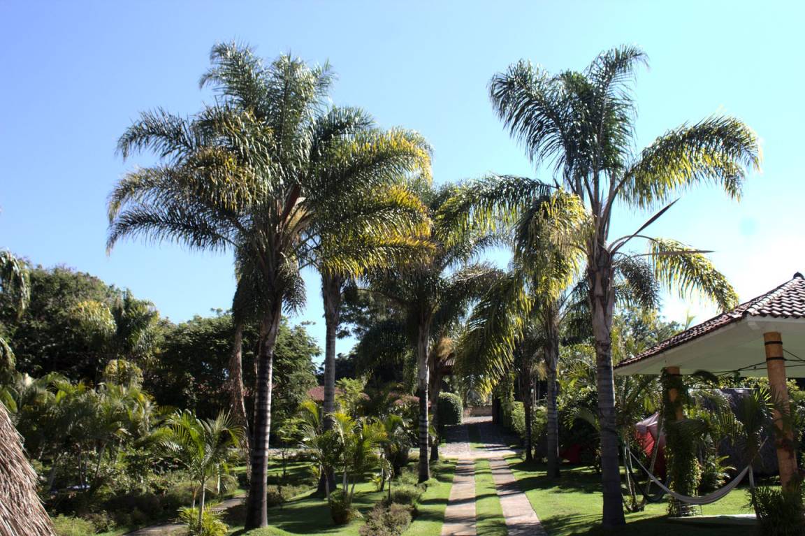 Camping ∙ 1 Bedroom ∙ 4 Guests - Malinalco