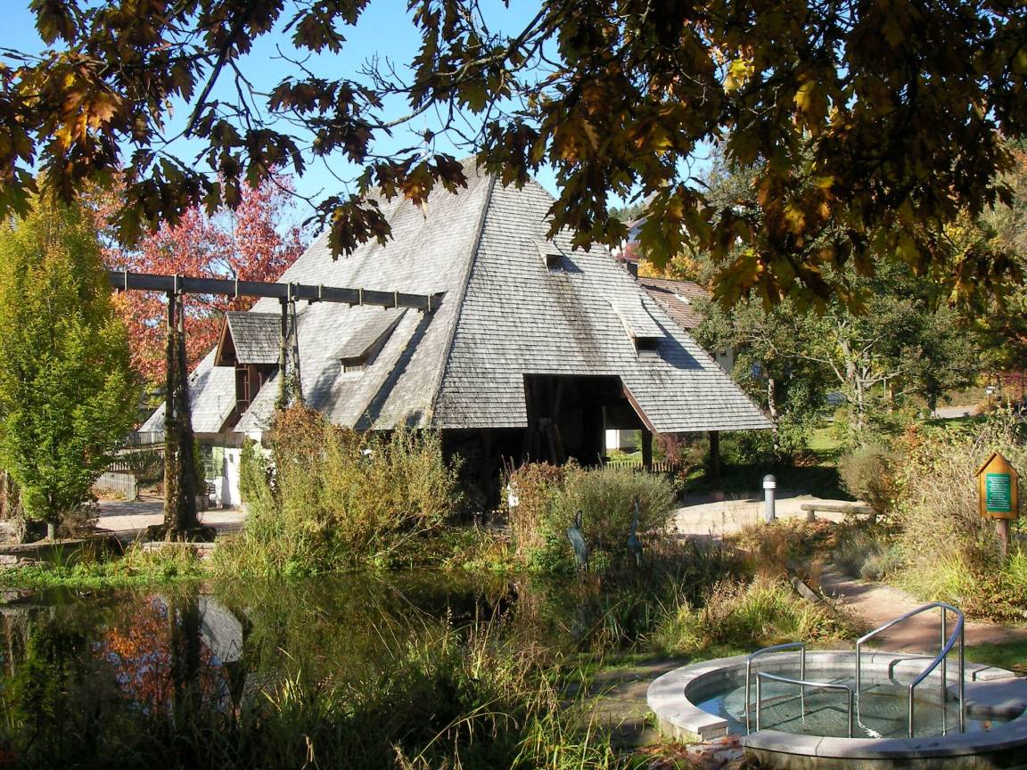 55 M² Appartement ∙ 2 Chambres ∙ 4 Personnes - Unterkirnach