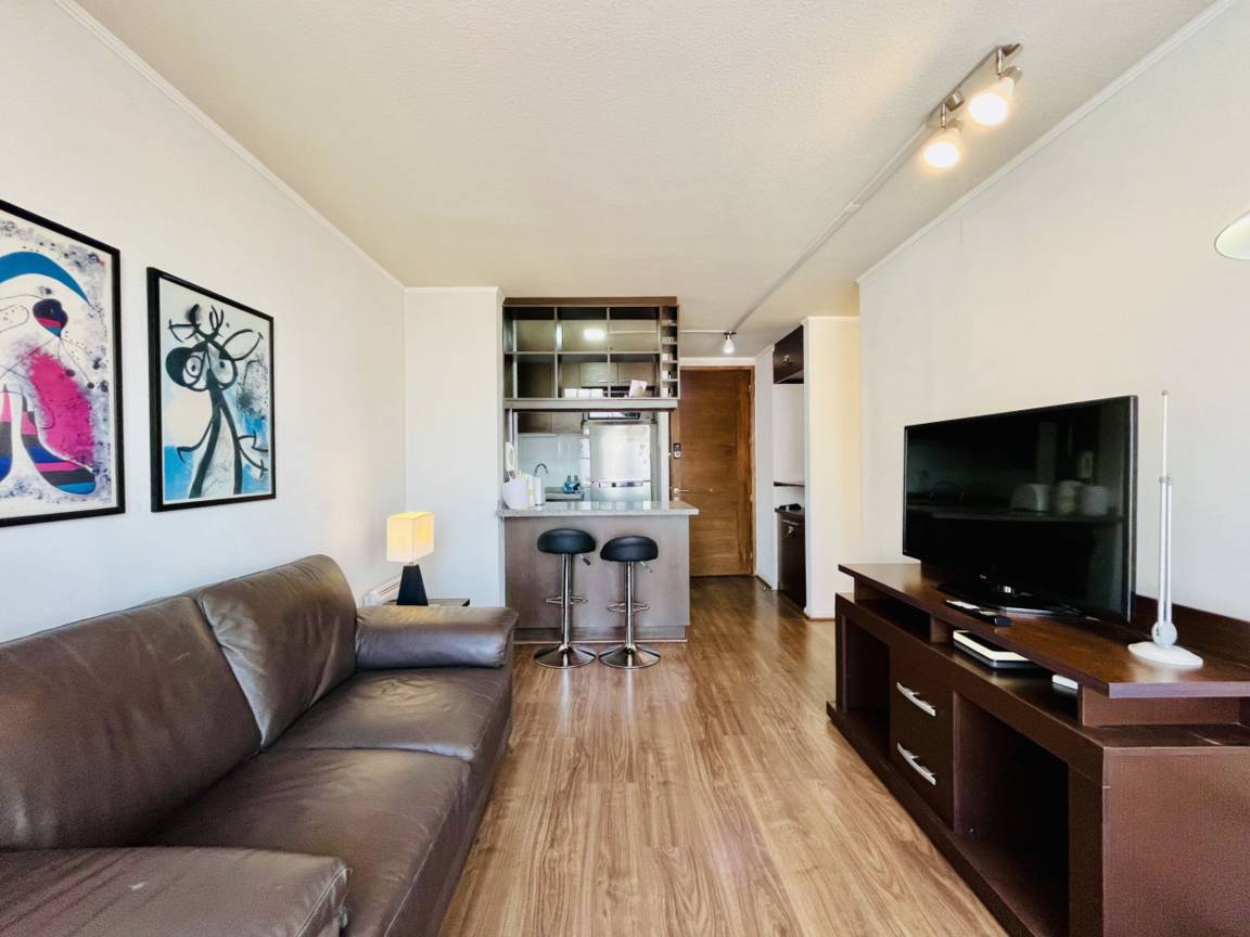 70 M² Apartment ∙ 2 Bedrooms ∙ 4 Guests - Providencia