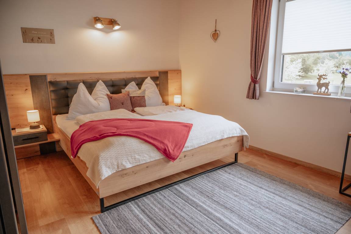 Ferienwohnung ∙ 2 Schlafzimmer ∙ 6 Gäste - Lunz am See