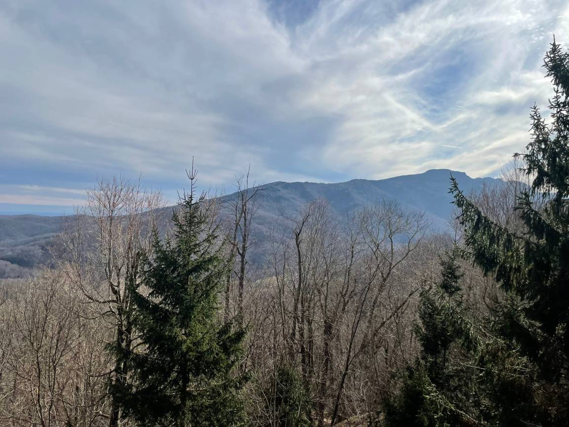 House ∙ 4 Bedrooms ∙ 13 Guests - Sugar Mountain, NC