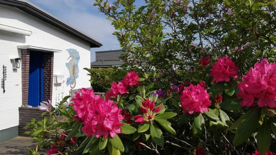 50 M² Maison De Vacances ∙ 2 Chambres ∙ 3 Personnes - Mer Baltique