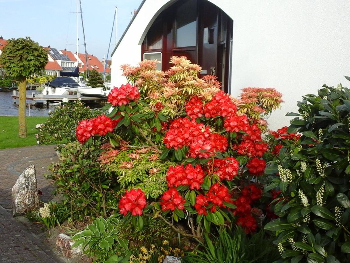 90 M² Ferienhaus ∙ 2 Schlafzimmer ∙ 4 Gäste - Lemmer