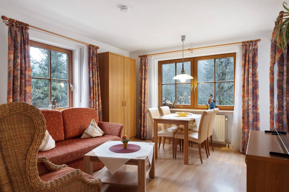45 M² Appartement ∙ 1 Slaapkamer ∙ 2 Gasten - Titisee-Neustadt
