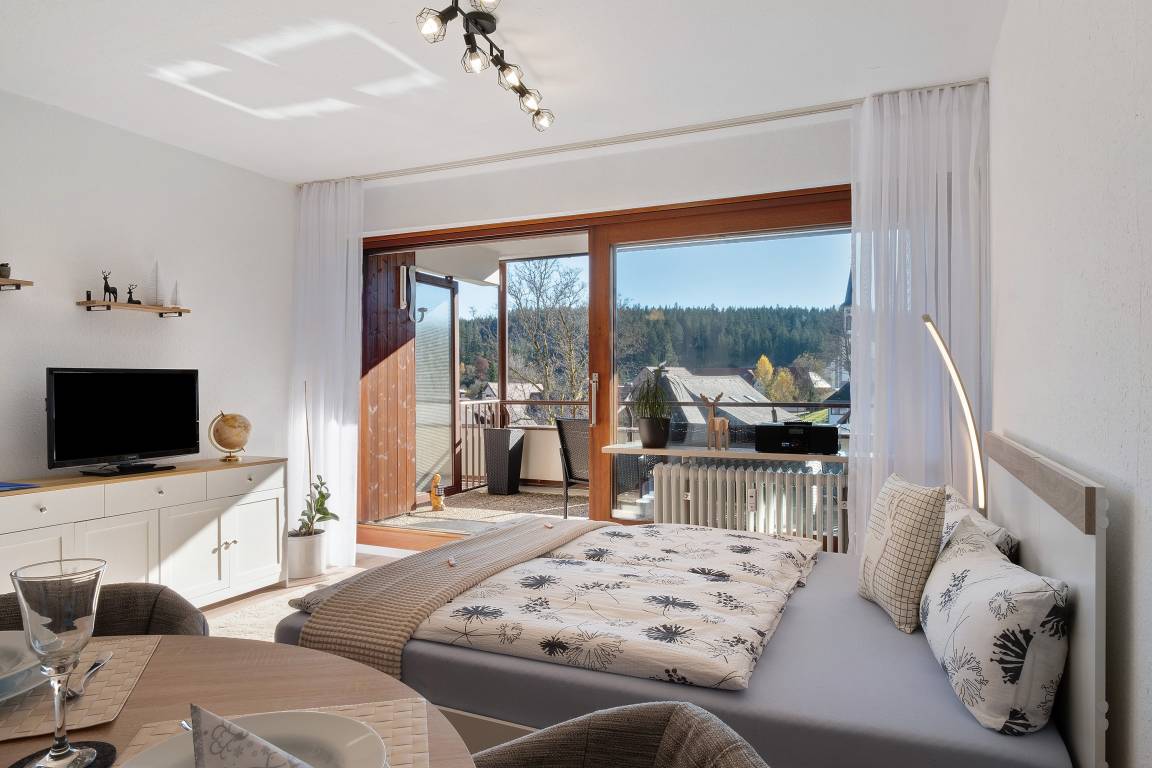 30 M² Apartamento ∙ 1 Habitación ∙ 3 Huéspedes - Furtwangen
