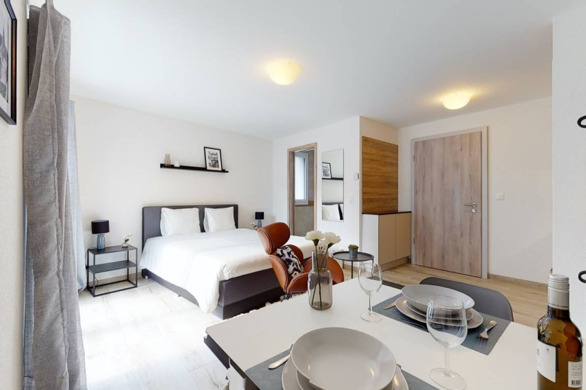 20 M² Estudio ∙ 1 Habitación ∙ 2 Huéspedes - Aigle