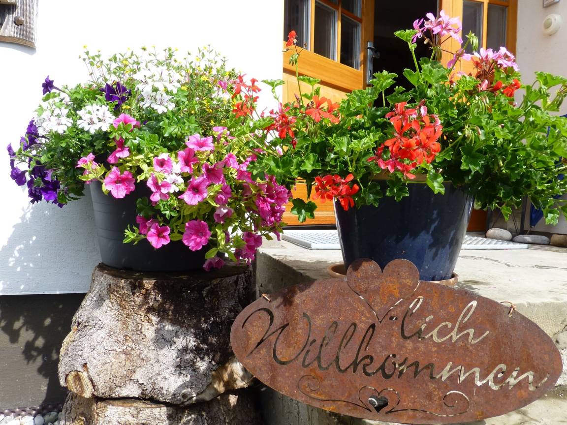 71 M² Apartment ∙ 2 Bedrooms ∙ 4 Guests - Immenstadt