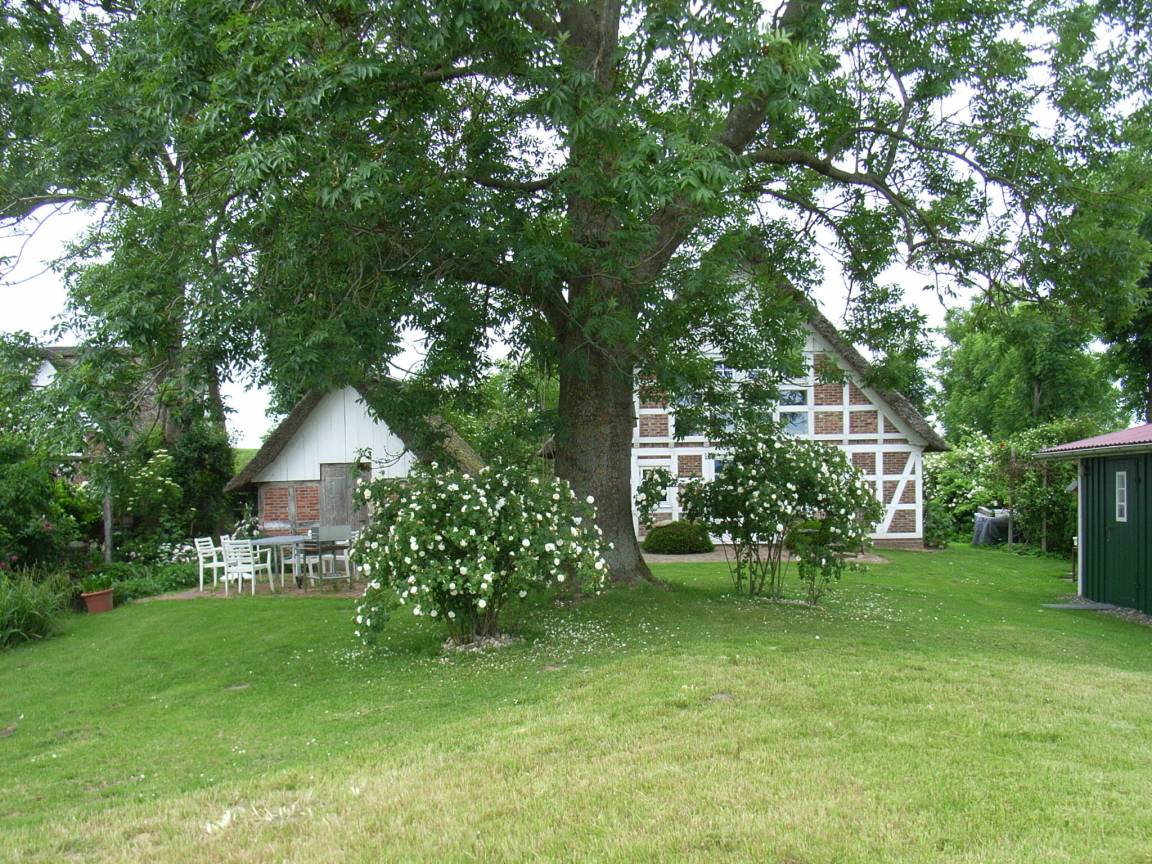 90 M² Ferienhaus ∙ 1 Schlafzimmer ∙ 2 Gäste - Wingst