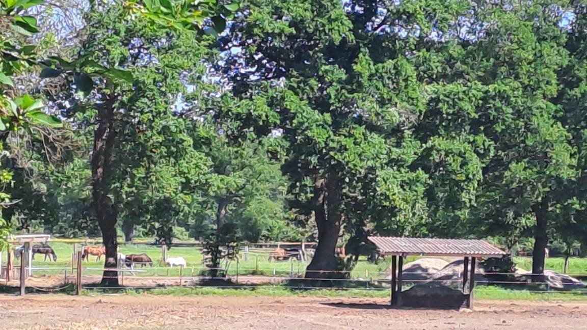 145 M² Appartement ∙ 5 Chambres ∙ 6 Personnes - Hanovre