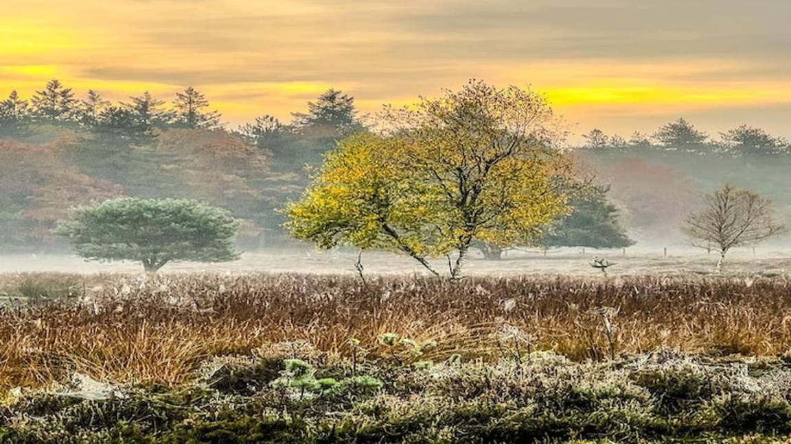 50 M² Ferienhaus ∙ 2 Schlafzimmer ∙ 4 Gäste - Emmen, Niederlande
