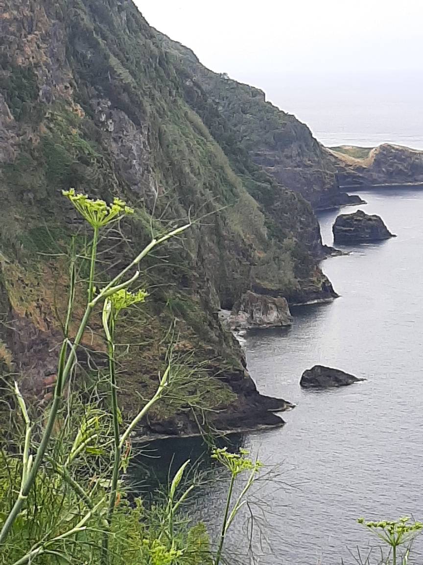 200 M² Casa ∙ 3 Quartos ∙ 5 Hóspedes - Fazenda