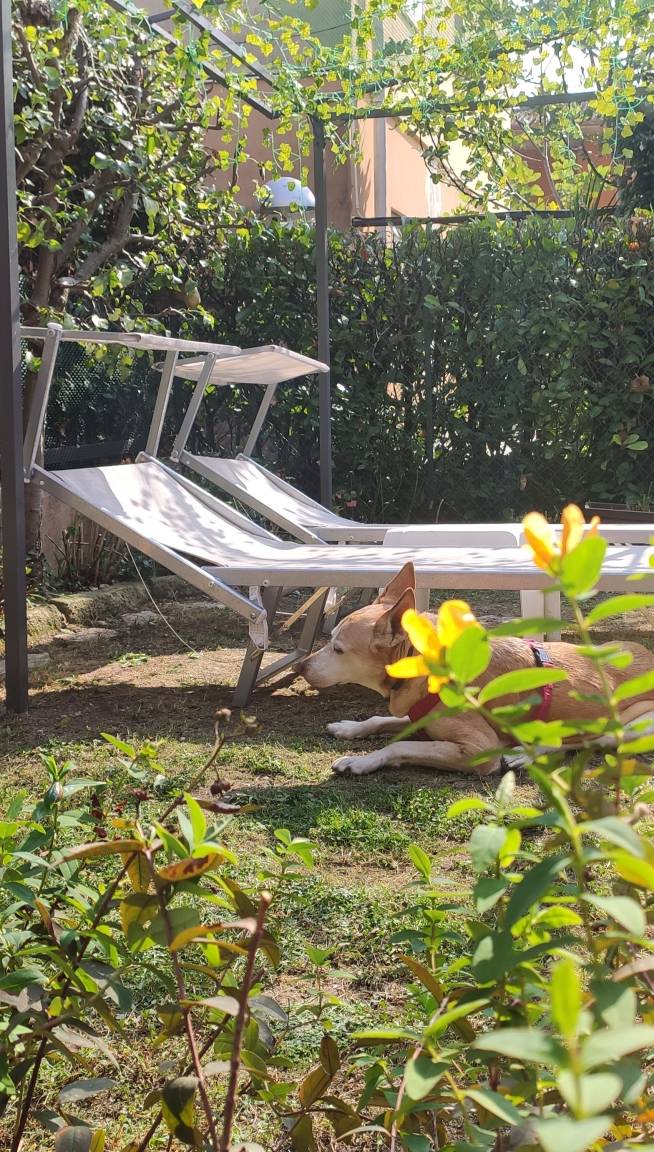 55 M² Apartment ∙ 1 Bedroom ∙ 4 Guests - Sirmione