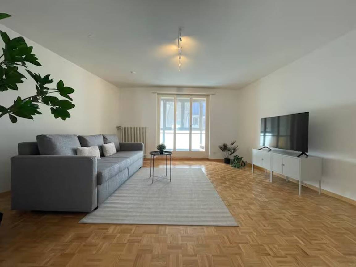 60 M² Apartamento ∙ 1 Habitación ∙ 3 Huéspedes - Schaffhausen