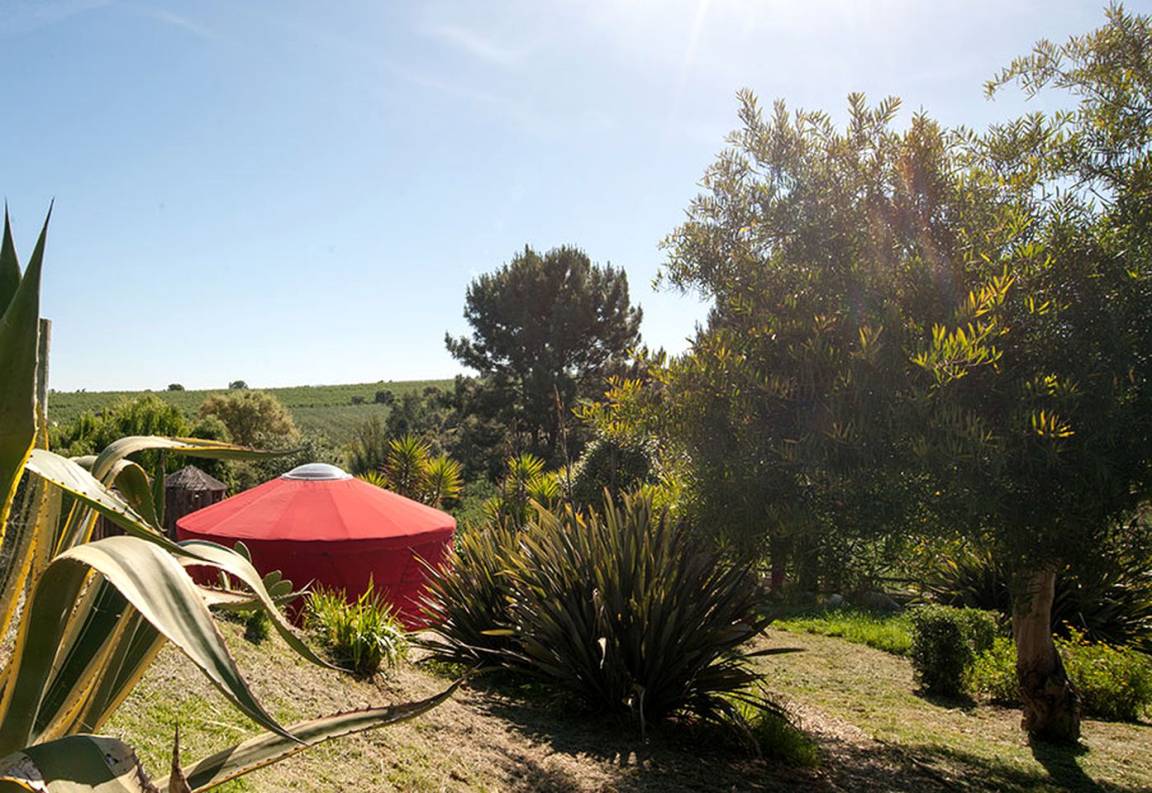 Camping ∙ 1 Chambre ∙ 4 Personnes - São Martinho do Porto
