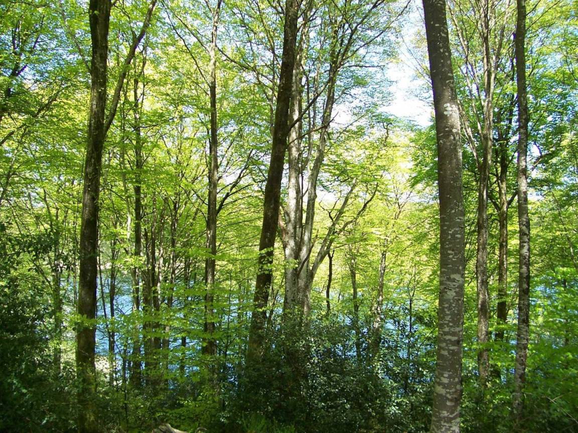 50 M² Gîte ∙ 2 Chambres ∙ 5 Personnes - Tarn