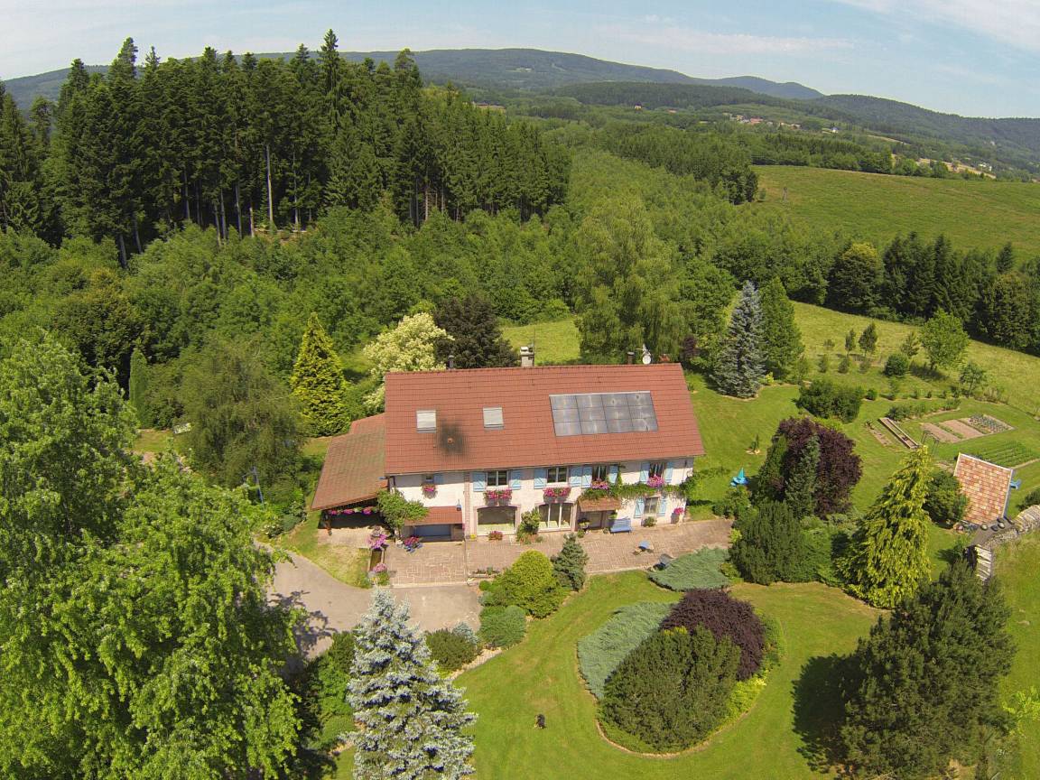 80 M² Cottage ∙ 2 Bedrooms ∙ 4 Guests - Black Forest