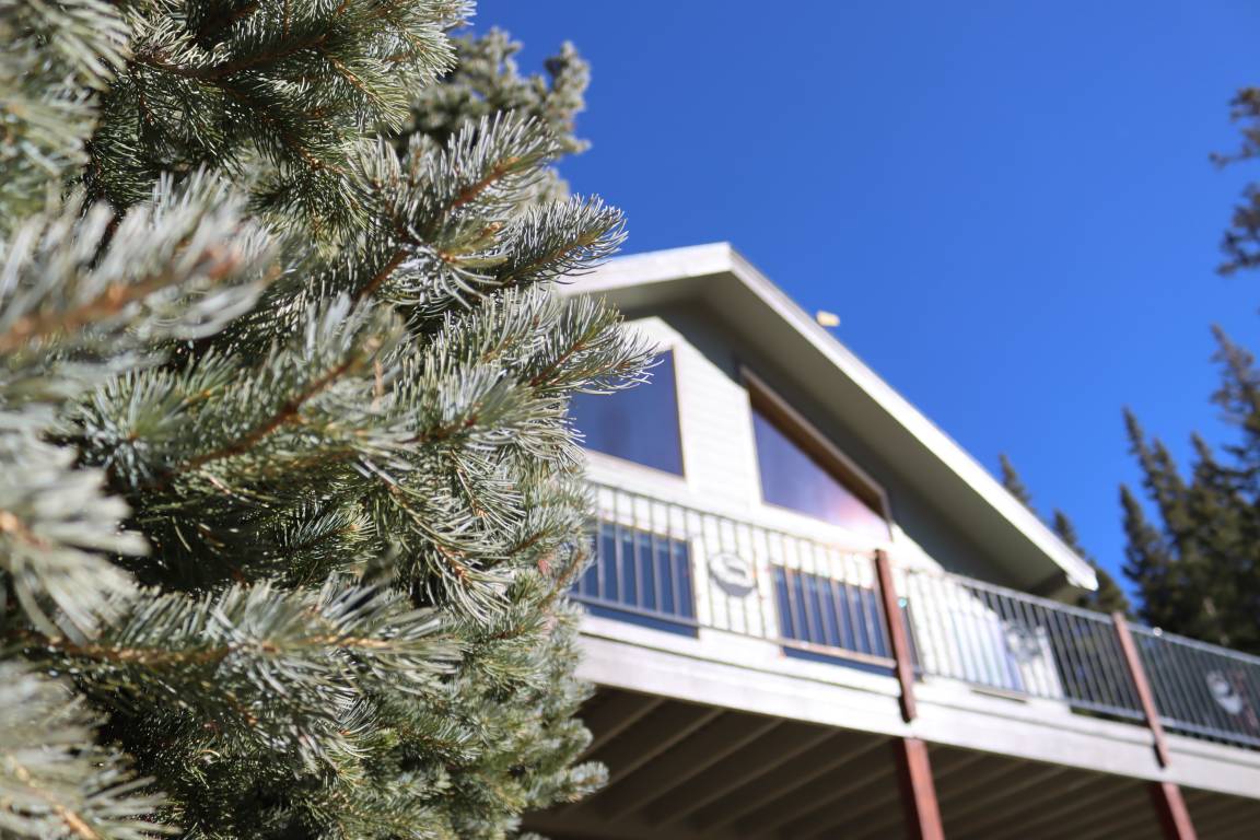 Cabin ∙ 3 Bedrooms ∙ 6 Guests - Alma, CO