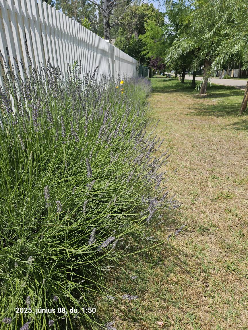 30 M² Apartment ∙ 1 Bedroom ∙ 2 Guests - Tihany