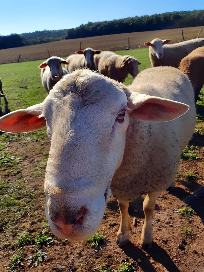 60 M² House ∙ 1 Bedroom ∙ 4 Guests - Crest