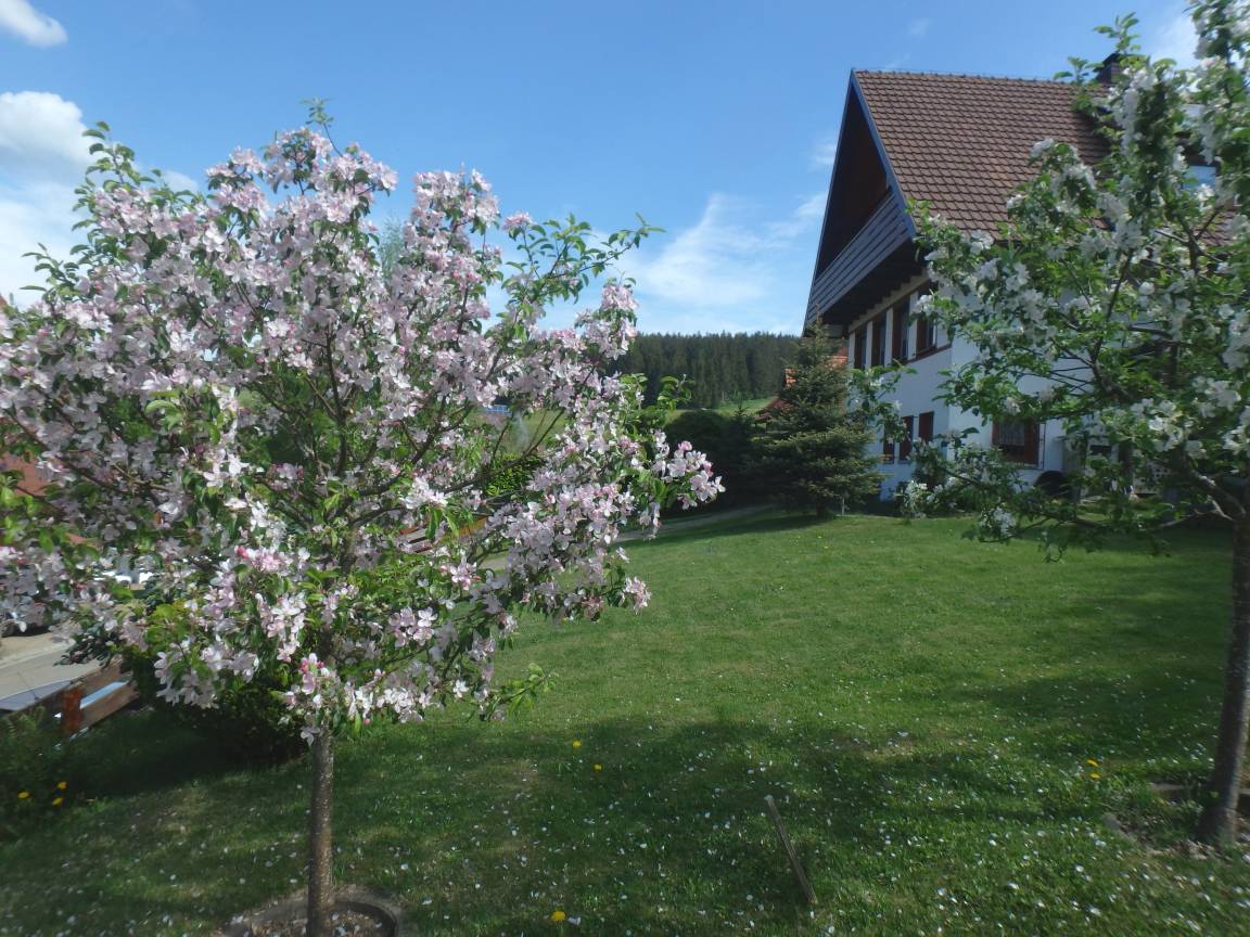 45 M² Appartement ∙ 1 Slaapkamer ∙ 2 Gasten - Titisee-Neustadt