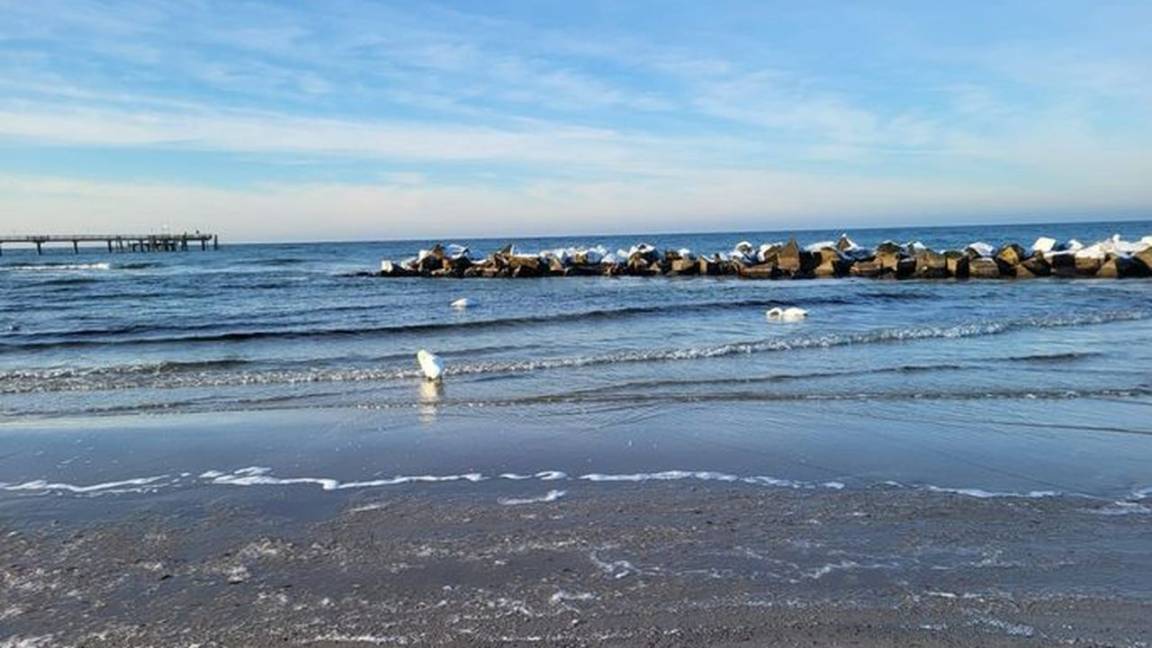 60 M² Ferienwohnung ∙ 1 Schlafzimmer ∙ 2 Gäste - Graal-Müritz