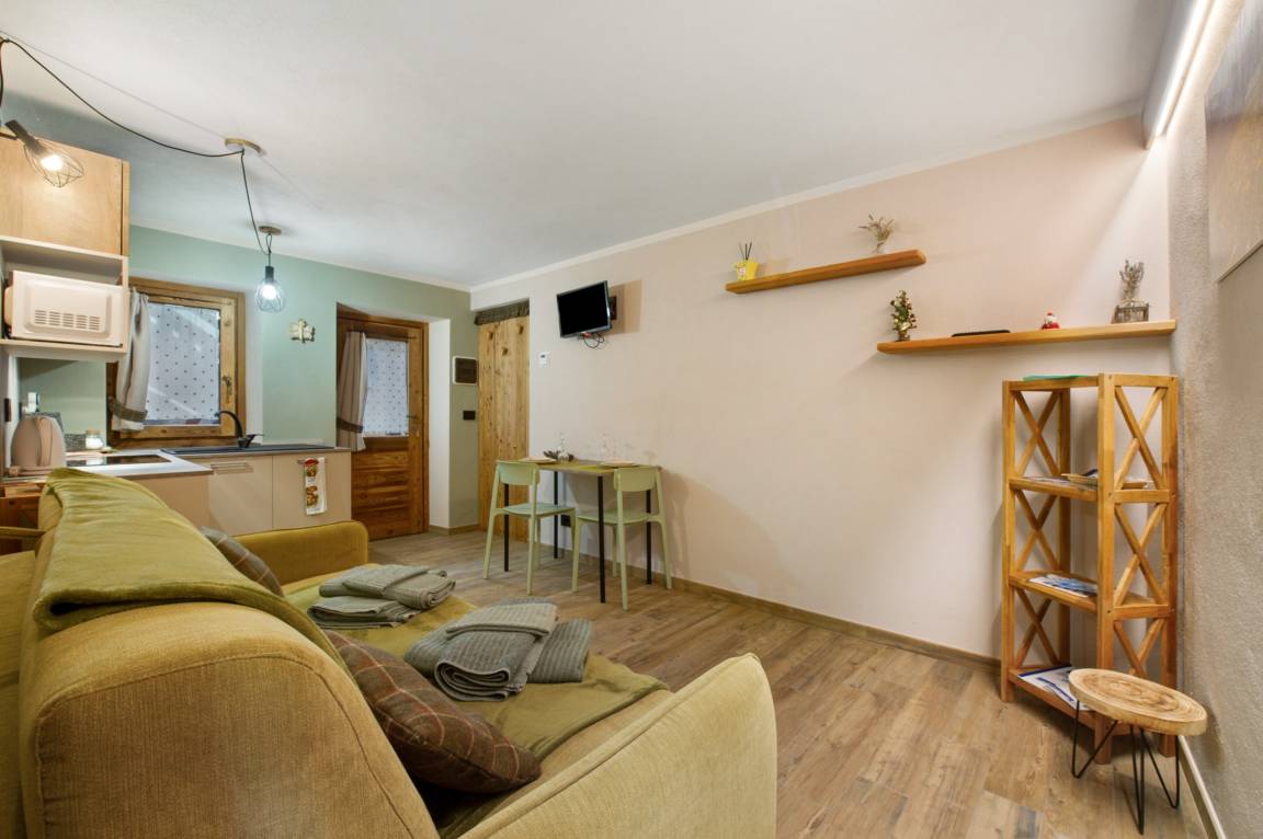 40 M² Studio Flat ∙ 2 Guests - Valtournenche