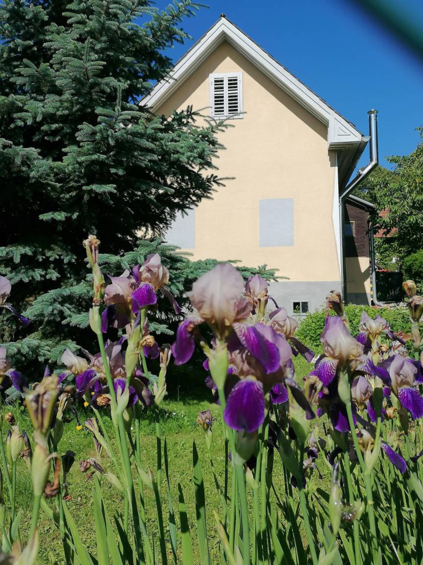 70 M² House ∙ 1 Bedroom ∙ 4 Guests - Bad Blumau