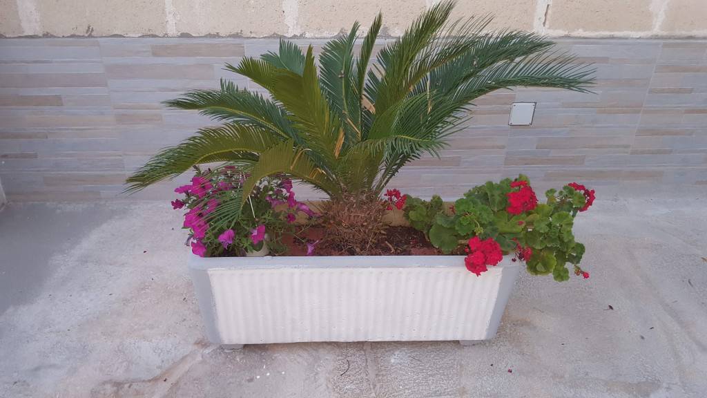 306 M² Villa ∙ 2 Bedrooms ∙ 6 Guests - Punta Prosciutto