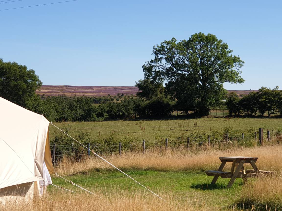 30 M² Cabin ∙ 1 Bedroom ∙ 6 Guests - Saltburn-by-the-Sea
