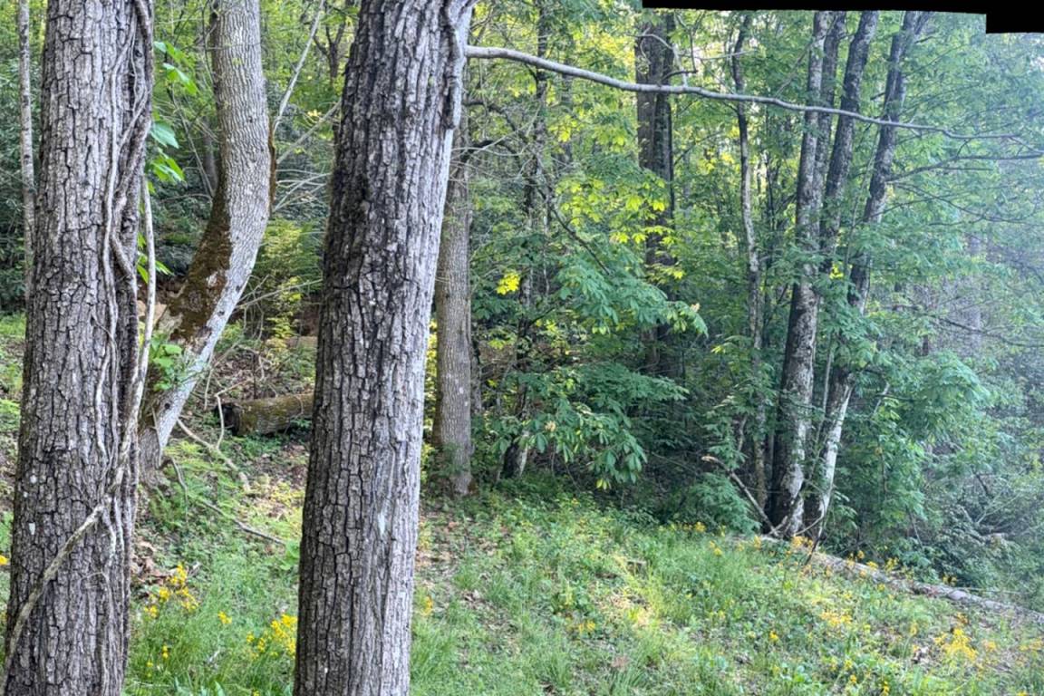 Cabin ∙ 1 Bedroom ∙ 3 Guests - Sylva, NC