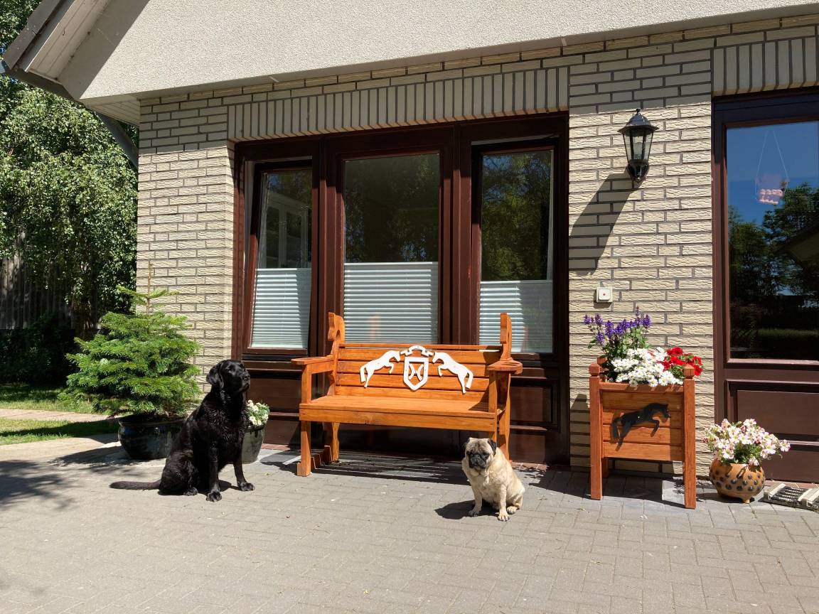 38 M² Ferienwohnung ∙ 1 Schlafzimmer ∙ 3 Gäste - Fehmarn