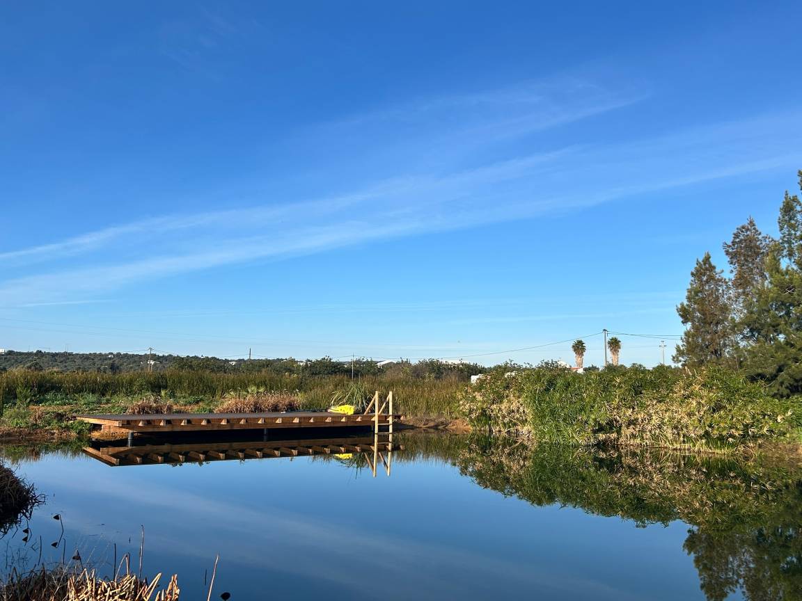50 M² Cottage ∙ 2 Bedrooms ∙ 3 Guests - Algarve