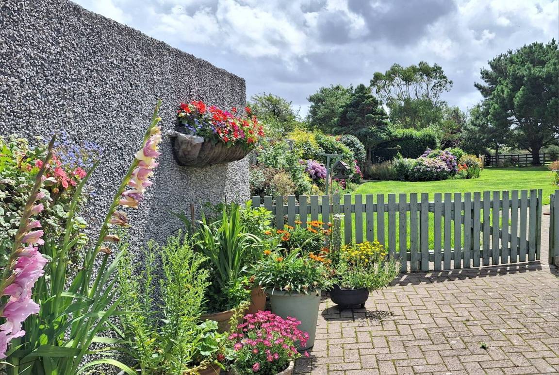 House ∙ 1 Bedroom ∙ 4 Guests - St Agnes