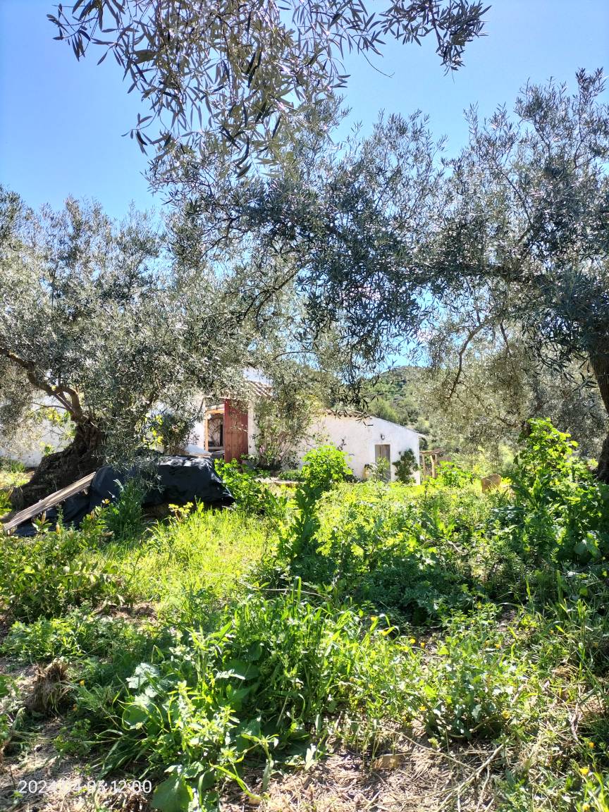 Bungalow ∙ 2 Makuuhuonetta ∙ 4 Vierasta - Andalousie