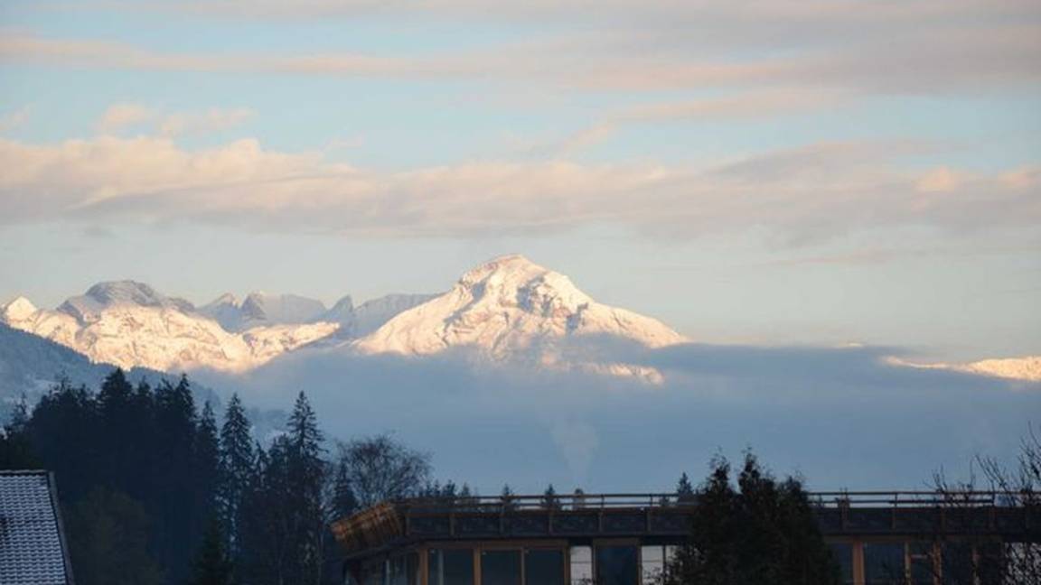 19 M² Apartment ∙ 1 Bedroom ∙ 2 Guests - Kaltenbach