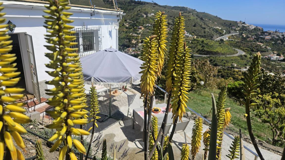 Appartement ∙ 2 Slaapkamers ∙ 4 Gasten - Salobreña