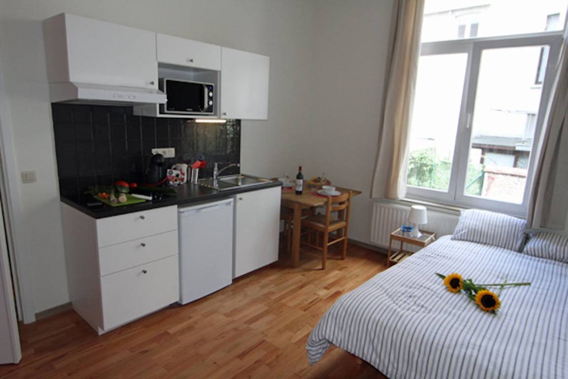 15 M² Huoneisto ∙ 2 Vierasta - Bryssel