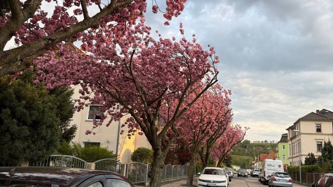 140 M² House ∙ 3 Bedrooms ∙ 6 Guests - Dresden