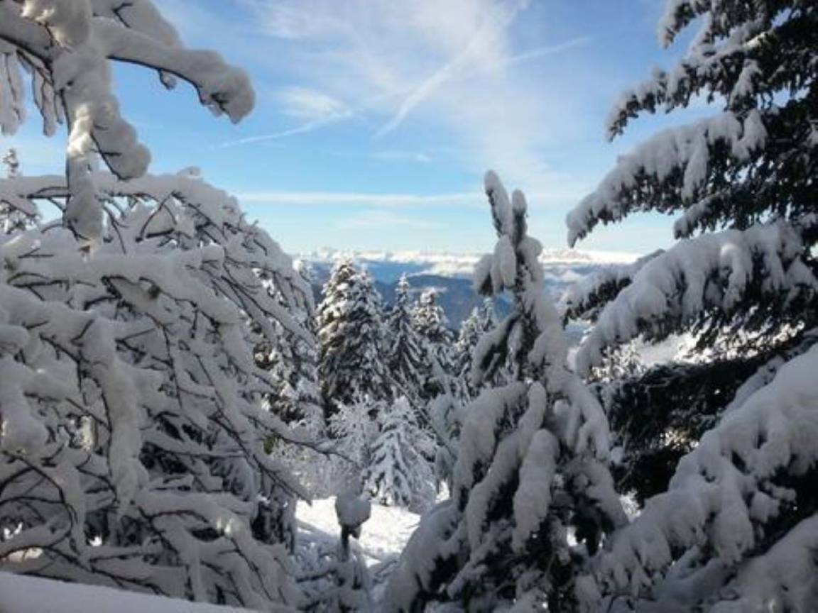 15 M² Chalet ∙ 1 Chambre ∙ 2 Personnes - Chamrousse